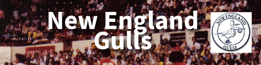 New England Gulls - Remember the WBL